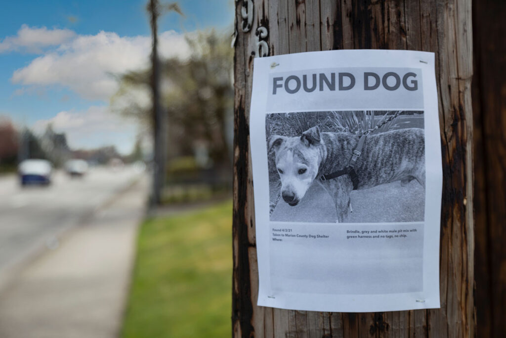 Found a Pet - Fresno Animal Center